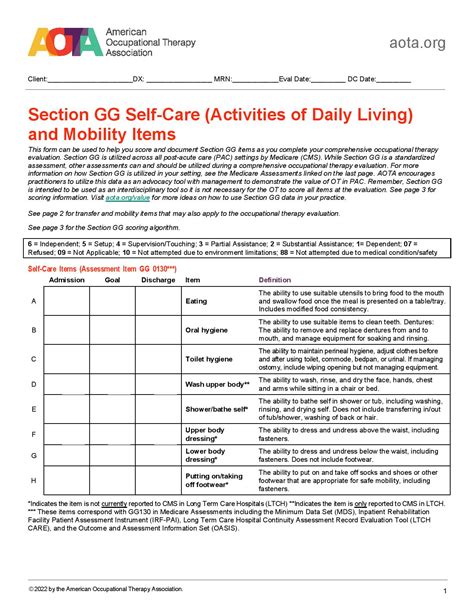 Section GG Self Care Activities Of Daily Living And Mobility Items