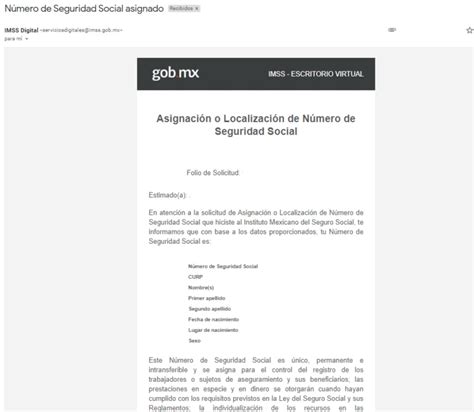 Cómo obtener tu hoja rosa del IMSS y su importancia 2024
