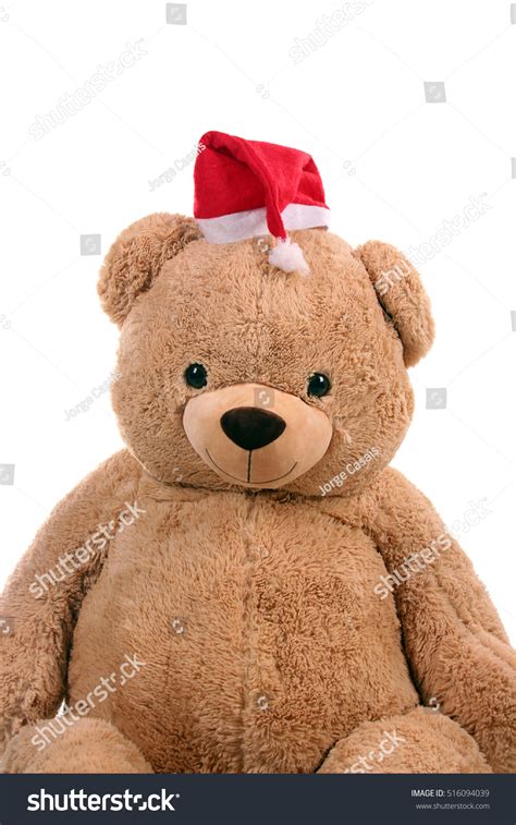 Teddy Bear Wearing Santa Hat Isolated Stock Photo 516094039 Shutterstock