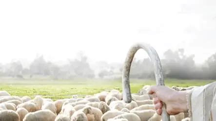 Salmos 23 Estudo Versículo por Versículo e Esboço