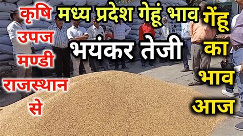 18 April 2023 गह क भव gehu ka bhav aaj ka gehu bhav kab badhega