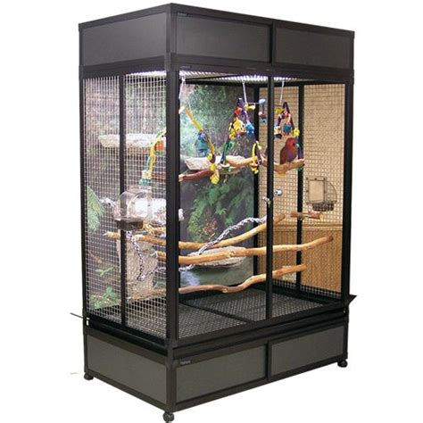 Assistant Voting Odysseus Bird Cage Pictures Machine Agnes Gray Dozens