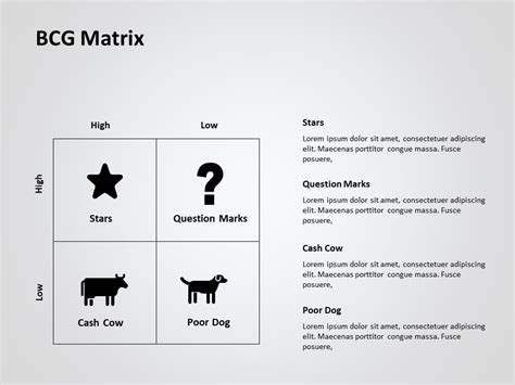 Bcg Matrix Word Template Dastvacation