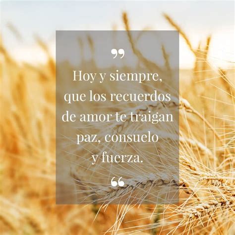 C Mo Dar El P Same Por Whatsapp Frases Im Genes