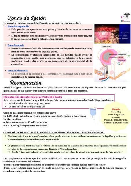 Zonas De Lesi N Maryuri Lisbeth Udocz