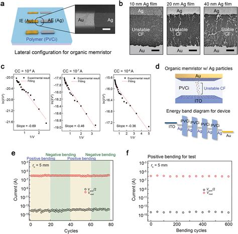 Organic Memristorbased Flexible Neural Networks With Biorealistic