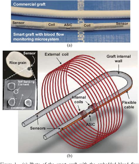 A Wirelessly Powered And Interrogated Blood Flow Monitoring Microsystem
