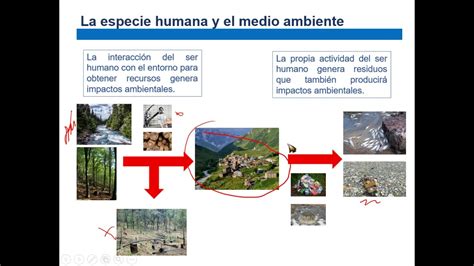 El Ser Humano Y El Medio Ambiente Youtube