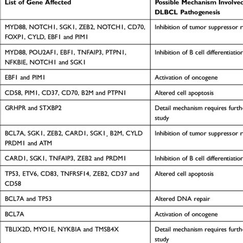 Schematic Representation Of Pathological Mechanisms Dlbcl In Splicing