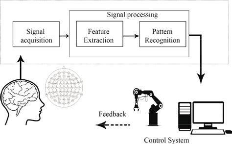 brain computer interface workflow download scientific diagram