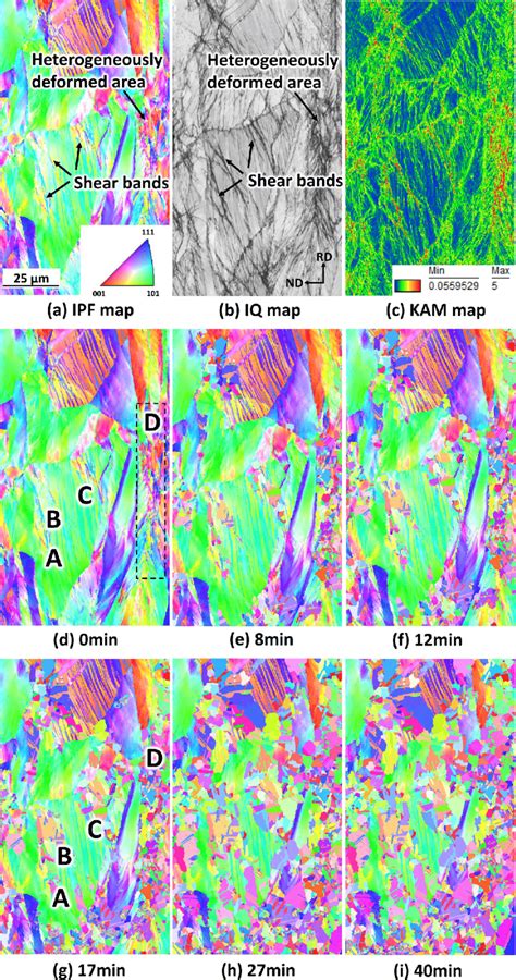 Ebsd Micrographs Containing A An Inverse Pole Figure Ipf Map B