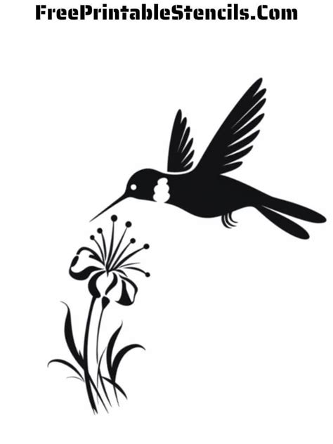 Free Printable Hummingbird Stencils Free Printable Stencils