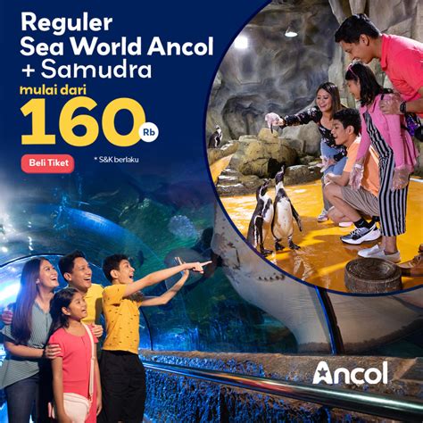 Info Harga Tiket Sea World Ancol 2022 Ancol Blog