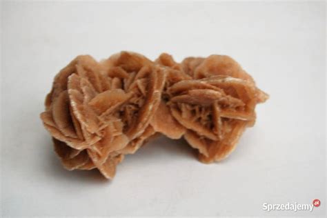 Róża pustyni kamień Sahara 10 cm Lublin Sprzedajemy pl