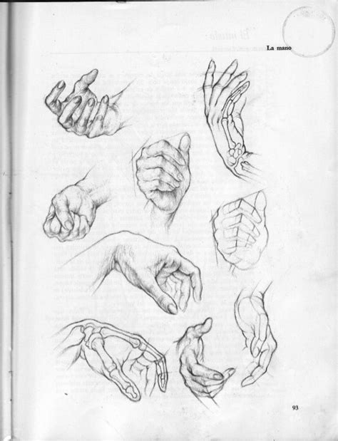 Anatomia Artistica Dibujo Anatomico De La Figura Humana Male Sketch