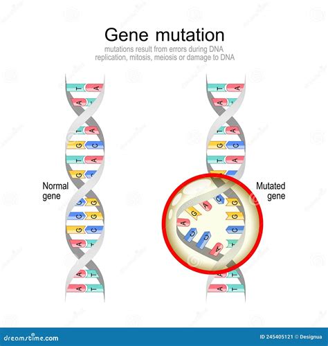 Genetic Mutation Normal DNA And Helix With Mutated Gene Stock Vector