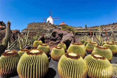 El genio de César Manrique en la arquitectura de Lanzarote 2024