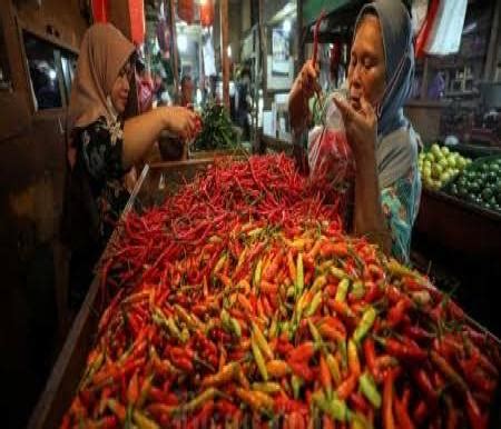 Harga Cabai Terus Naik Tomat Dan Kentang Malah Turun Sumber