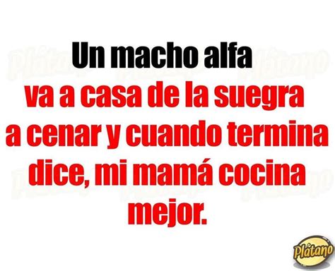 Un Macho Alfa Va A Casa De La Suegra A Cenar Y Cuando Termina Dice Mi