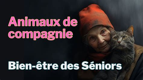 Animaux De Compagnie Et Seniors Bienfaits Surprenants Sur La Sant