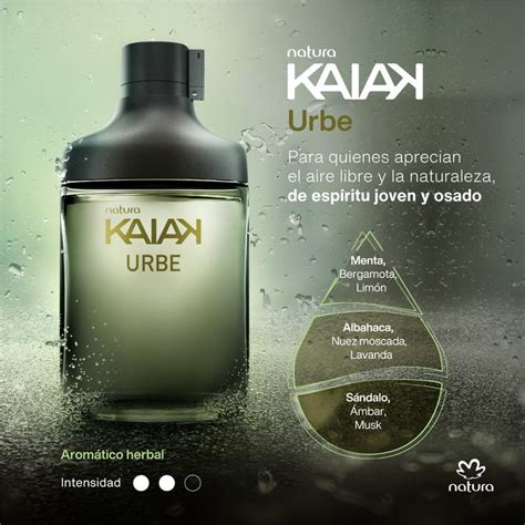 Notas Olfativas Kaiak Urbe Natura Perfumeria Perfumes Naturales