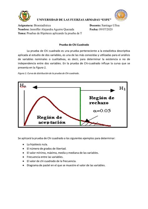 Vegetariano Felicidades Finanzas Prueba De Hipotesis Chi Cuadrado
