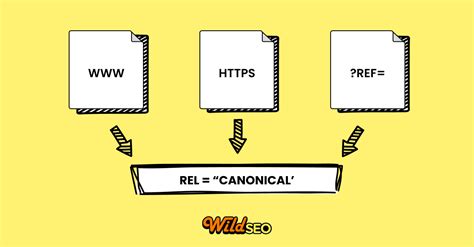Canonical Tags A Complete Guide To Canonical URLs 2024