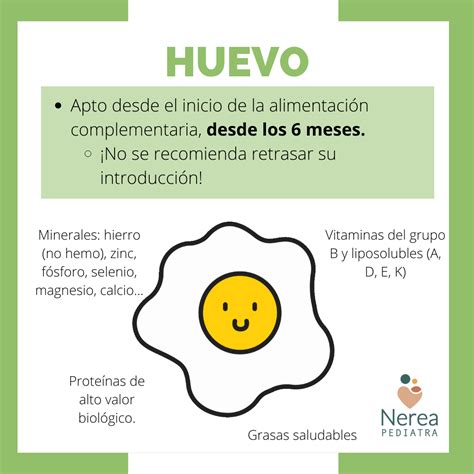 El huevo en la alimentación infantil Nerea Pediatra