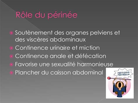 Lincontinence Urinaire Deffort Chez La Sportive De Haut Niveau Ppt