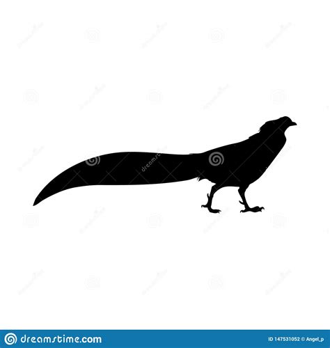 Silueta del p jaro ilustración del vector Ilustración de plumaje