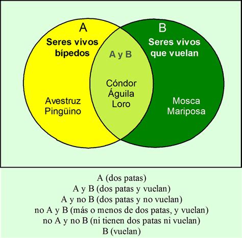 Diagrama De Venn Ejemplos Para Niños Venn Diagrama Aprendie