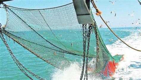 Pin En Fishing Tips Pics And Gifts