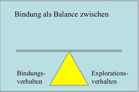 Entwicklung Bindung Karteikarten Quizlet