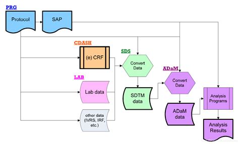 cdash、sdtm、adam 基本概念（图表） 哔哩哔哩