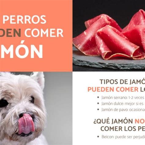 Perros y Jamón York Es seguro alimentar a los perros con este tipo de