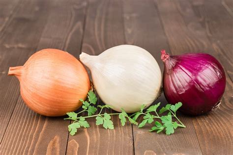 Cebolla Sus Valores Nutritivos Propiedades De La Cebolla Salud Y Porn