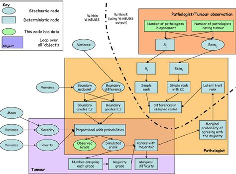 schematic representation of the bayesian latent trait model download scientific diagram