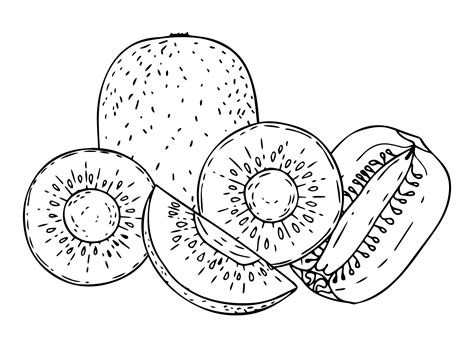 P Ginas Para Colorear De Kiwis Coloringpagesonly