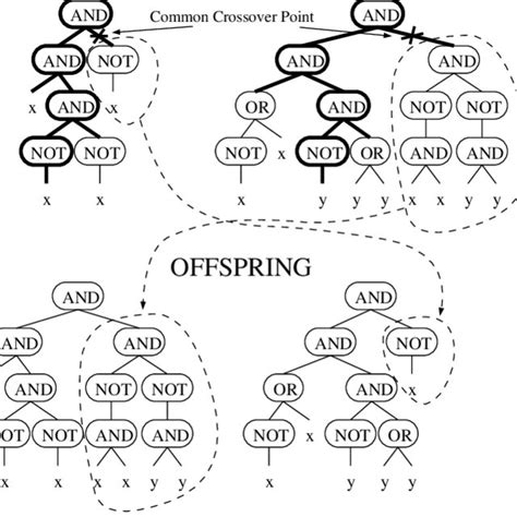 pdf genetic programming with one point crossover and point mutation