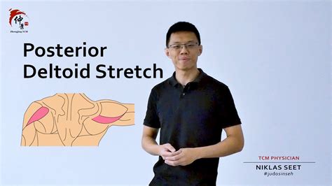 Posterior Deltoid Stretch By Physician Niklas Seet YouTube