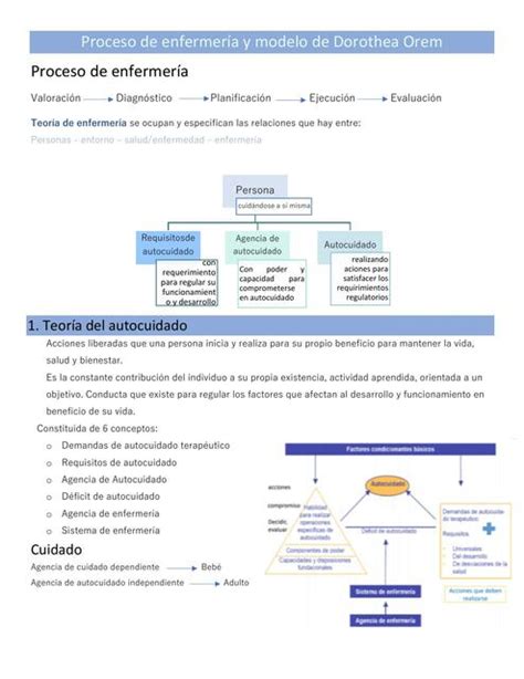 Proceso de enfermería y modelo de Dorothea Orem María José Norambuena