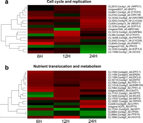 Comparative Transcriptome Analysis Reveals The Regulatory Networks Of