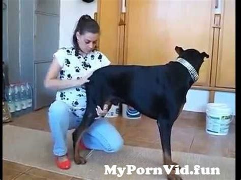 Bokep Cewe Sama Anjing Sex Pictures Pass