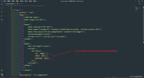 vscode使用用户代码片段快速创建vue实例 vscode用户代码片段创建vue实例 csdn博客