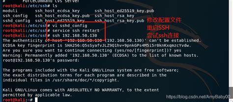 xshell连接kaliand不成功解决方法 xshell连接kali连不上 csdn博客