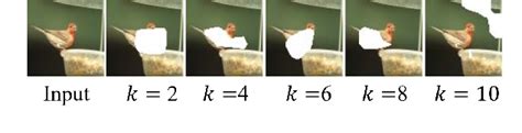 Figure From Learning Intact Features By Erasing Inpainting For Few