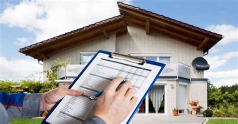 What Is WDO Inspection Wood Destroying Organism Inspection