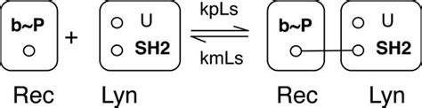 guidelines for visualizing and annotating rule based models abstract europe pmc