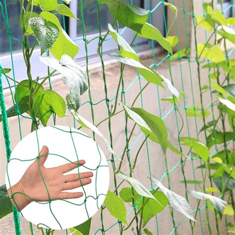 Filet De Jardinage Pour Plantes Grimpantes Test Et Avis