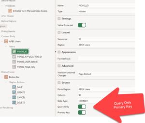 Oracle Apex Low Code Authentication And Authorization Storm Petrel Llc